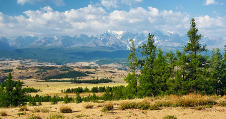 “hit a plateau” ってどういう意味？ | 英語たいむ